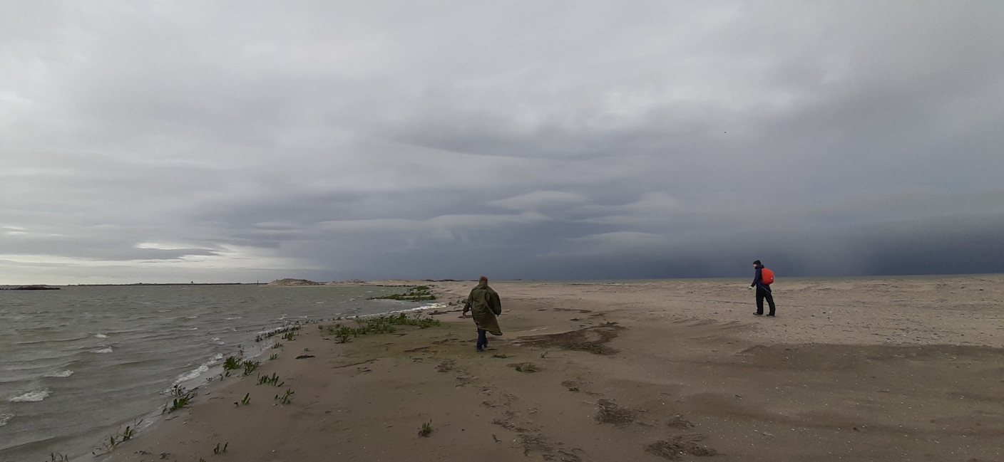 De dynamiek van Nederlands nieuwste Wadden - Weer.nl