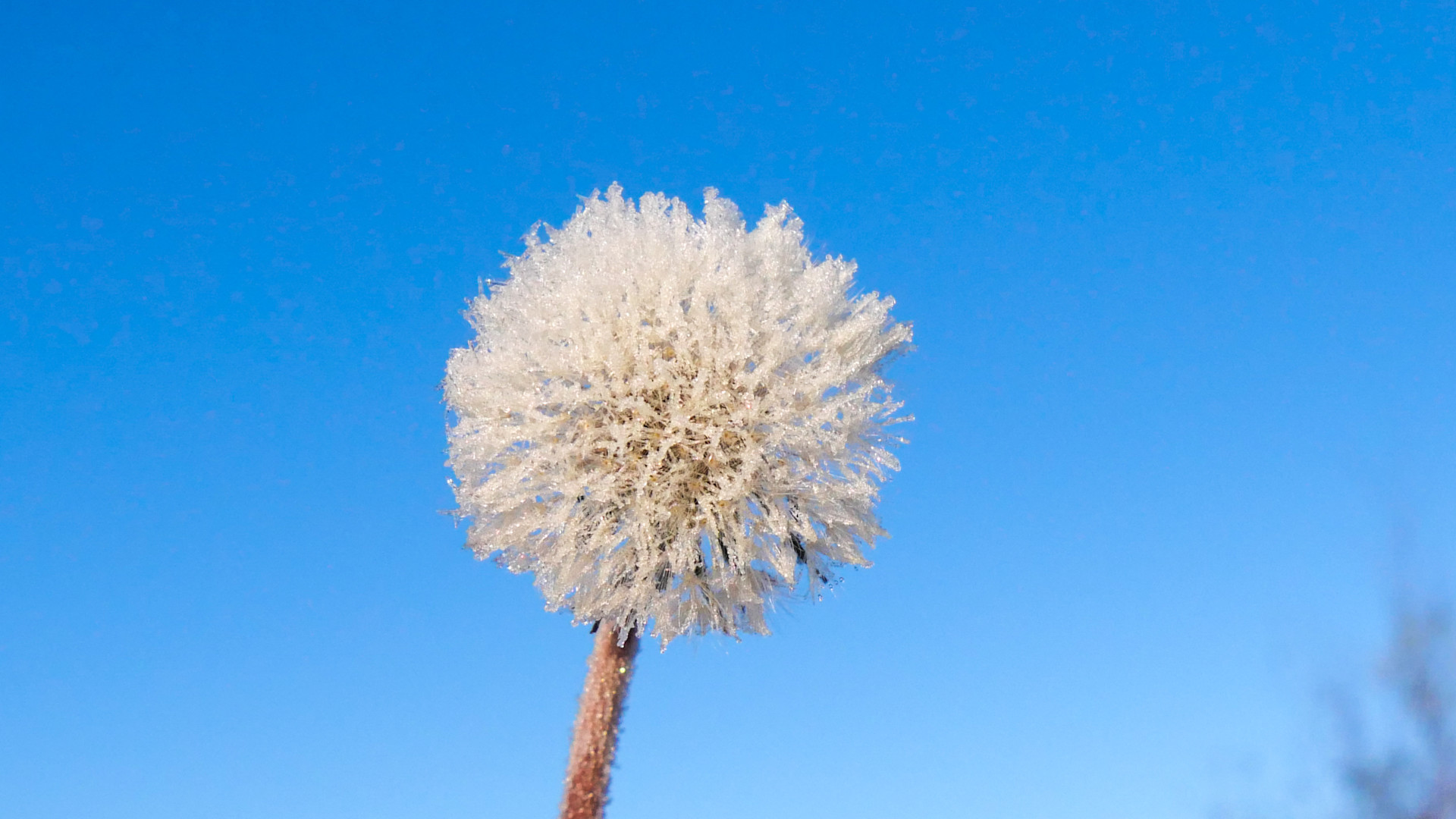 Op naar stralend winterweer - Weer.nl
