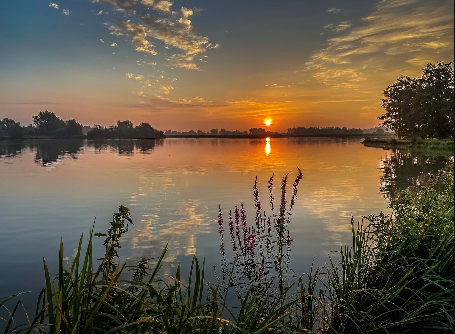 Volgende week weer warmer en zonniger - Weer.nl