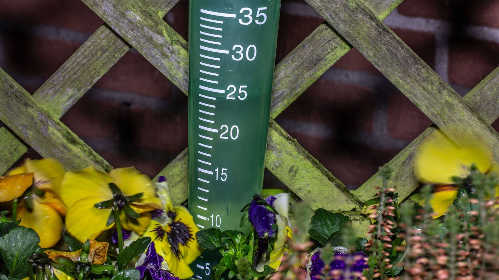 Vandaag veel regen en wind, vanaf morgen rustiger - Weer.nl