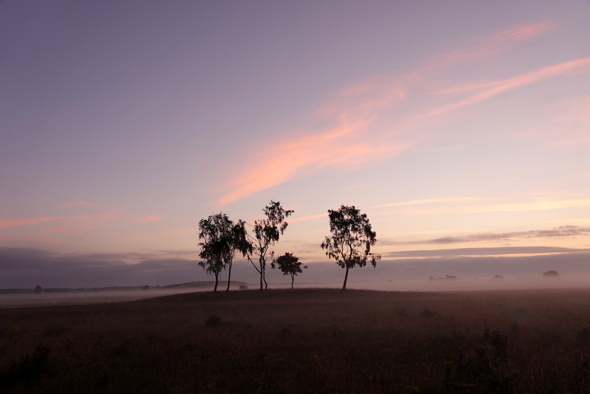 Extreme berekeningen GFS-model met steeds meer argwaan bekeken - Weer.nl