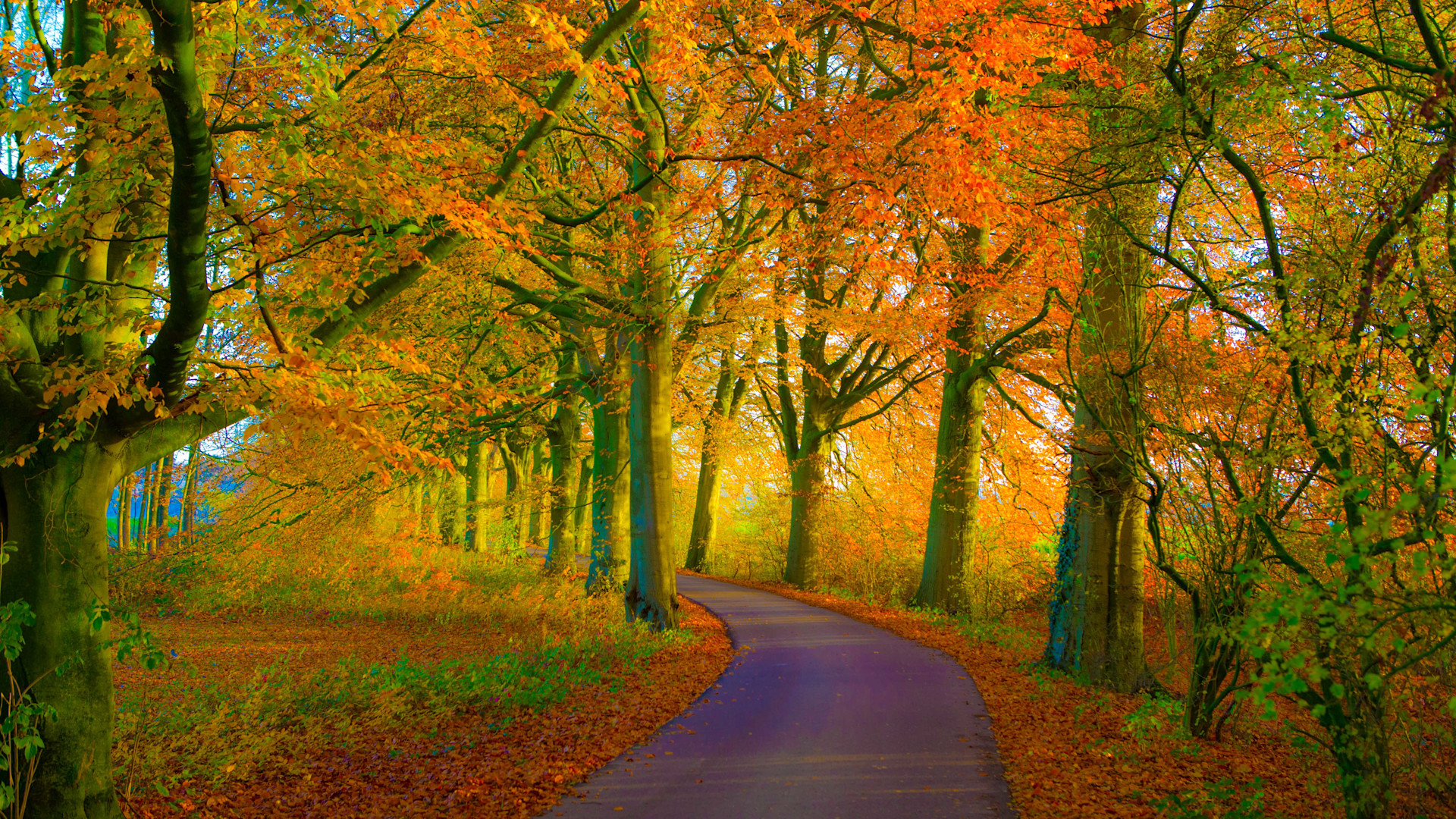 De herfst gaat echt beginnen - Weer.nl