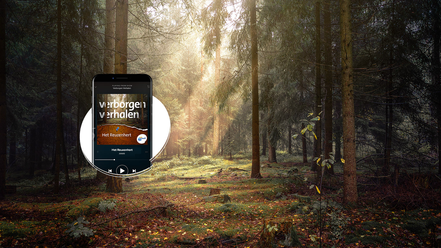 De verborgen verhalen van de herfst - Weer.nl