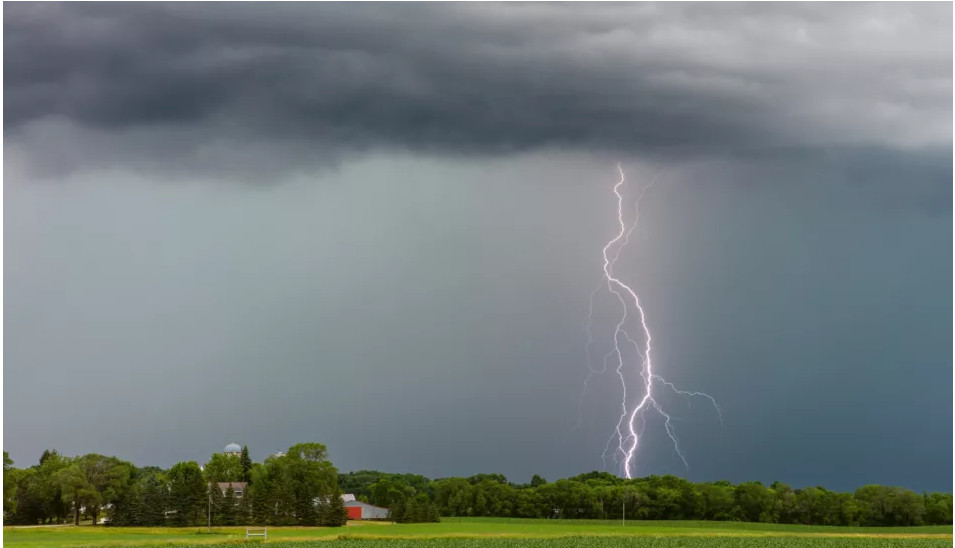 'Onweersmachine' laat planten sneller groeien - Weer.nl