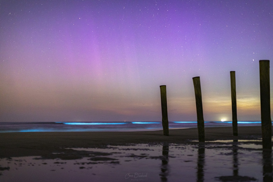 Lichtende nachtwolken, zeevonk en noorderlicht tegelijkertijd gespot - Weer.nl