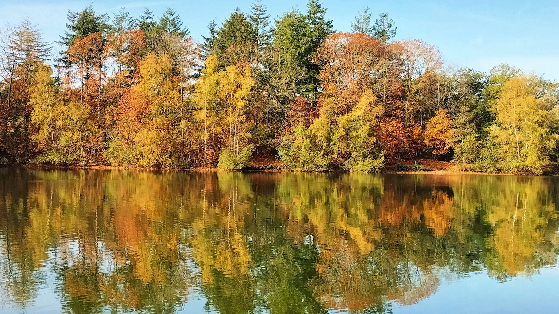 Extreem warm weer maakt plaats voor 'normaler' herfstweer - Weer.nl Extreem warm weer maakt plaats voor 'normaler' herfstweer - Weer.nl