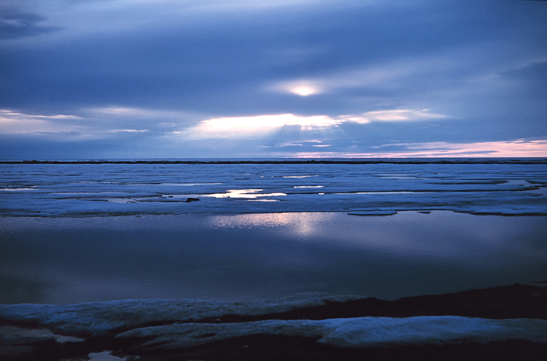 Zeeijs Noordpool: zomersmelt vertraagt, laagterecord niet in gevaar ...