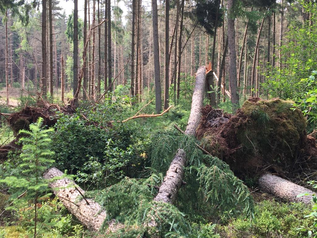 Valwind Leersum leverde een tweede schadespoor op - Weer.nl