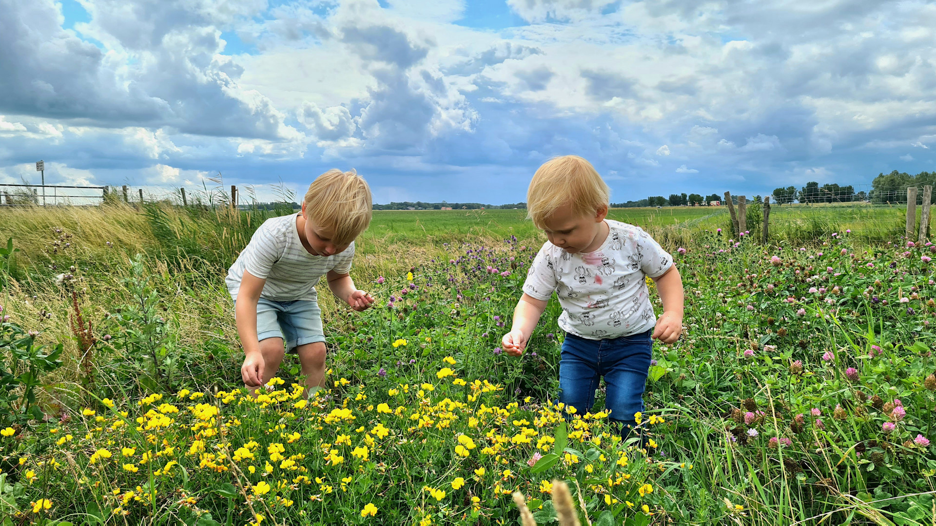 30-Daagse: Komt het zonnige zomerweer nog terug? - Weer.nl