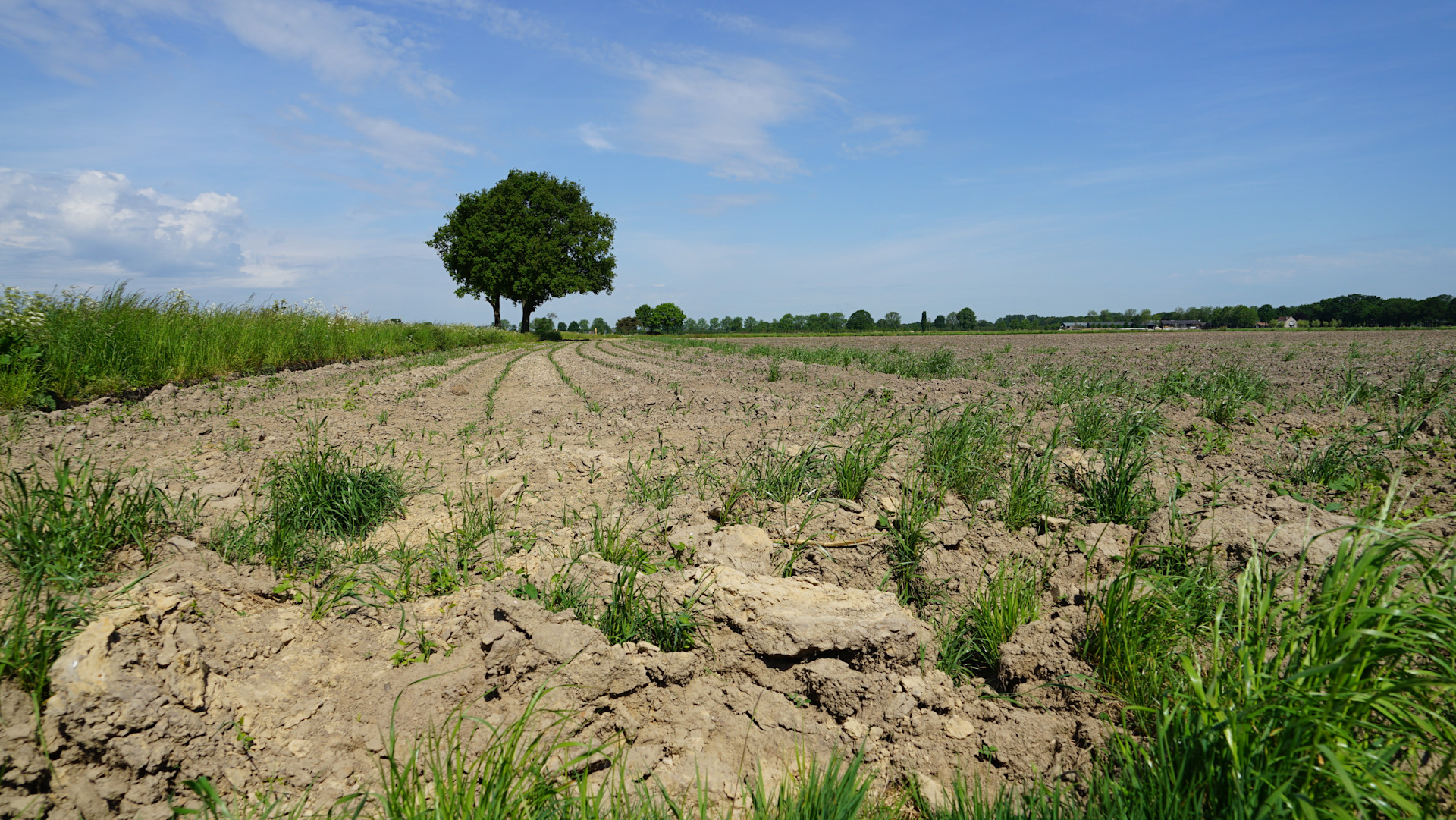 Zomerverwachting 2022: nog steeds warm en wellicht vrij droog - Weer.nl
