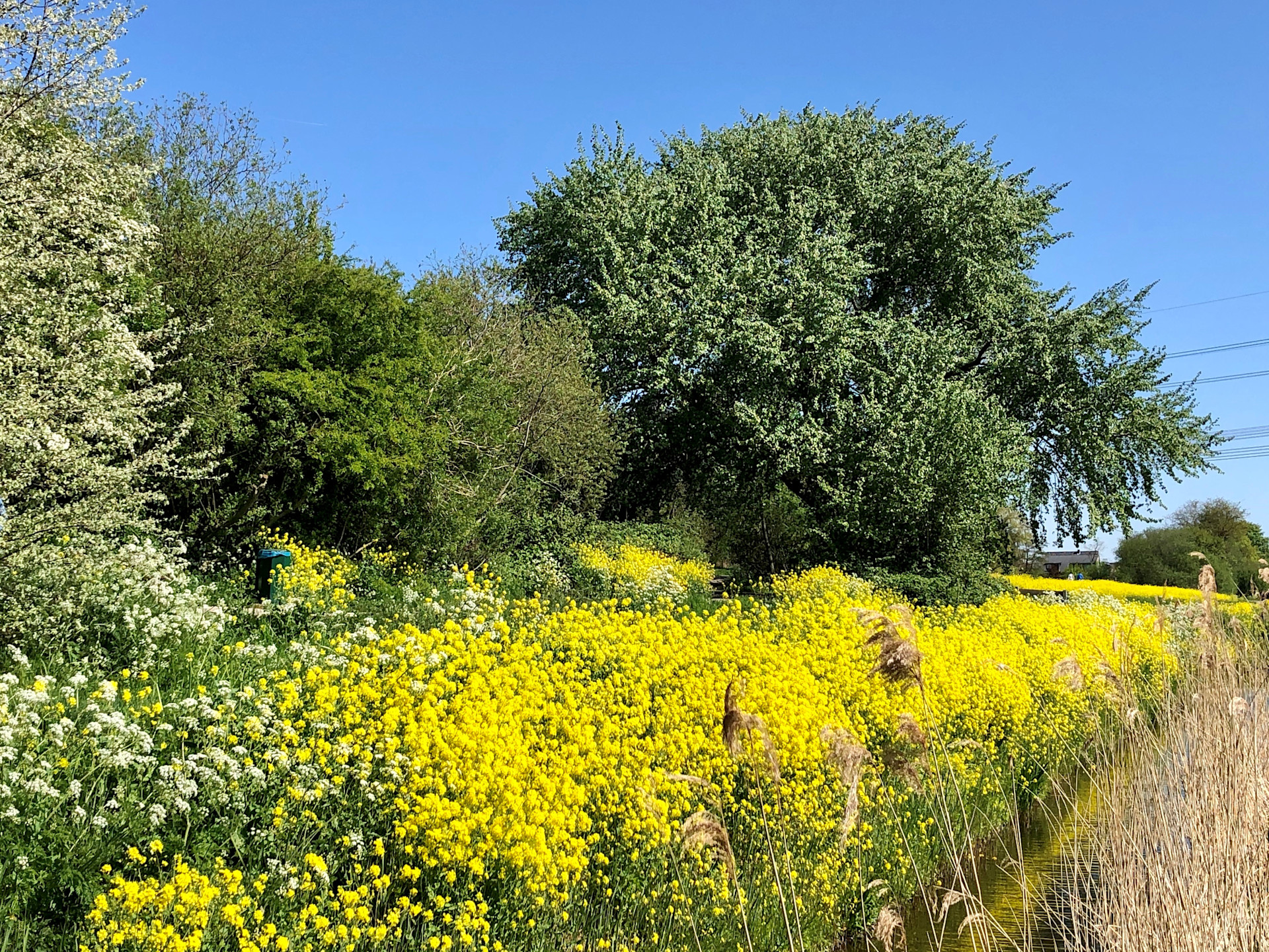 Officieel warmste 5 april ooit gemeten - Weer.nl