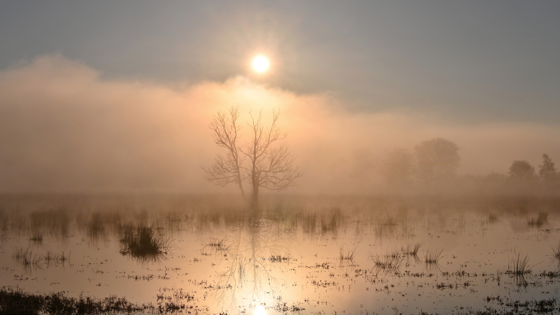 Het verschil tussen weer en klimaat - Weer.nl