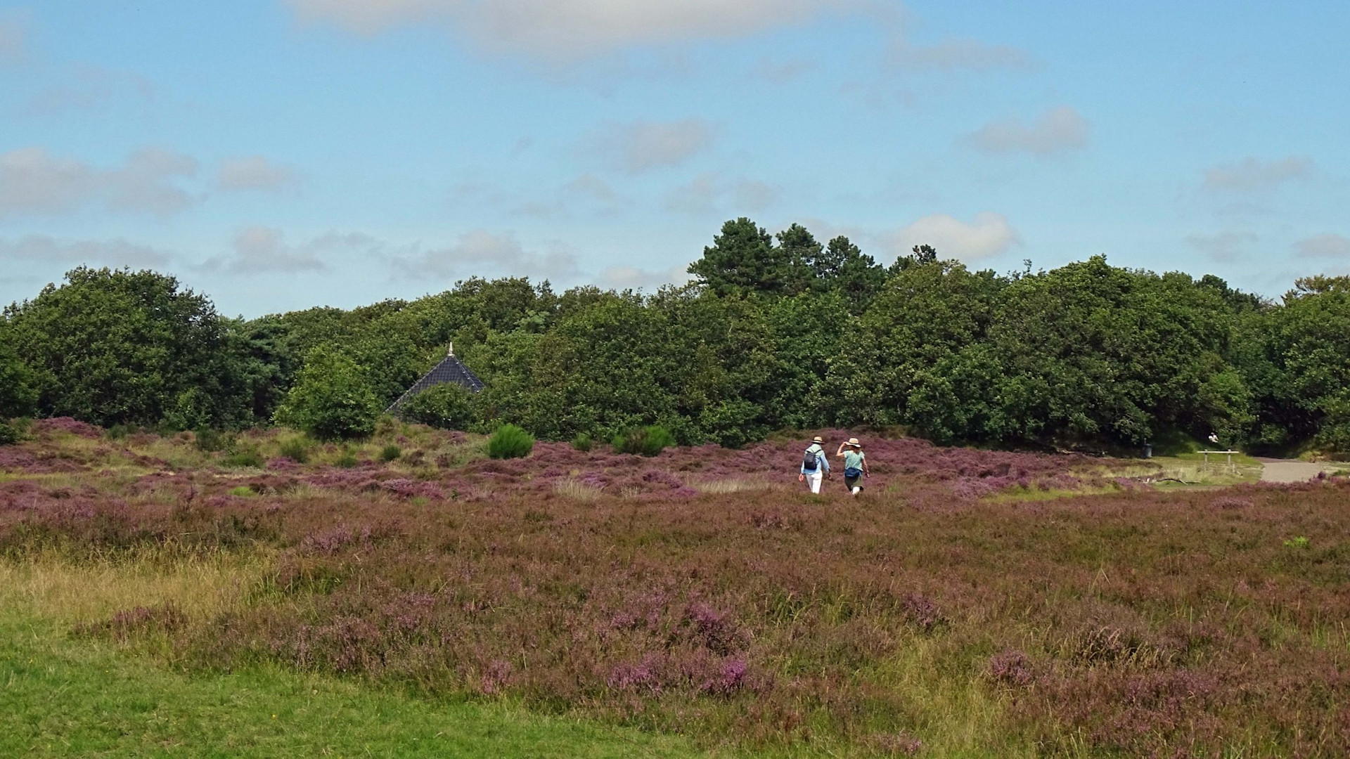 Weekend aangenaam met in noorden een bui - Weer.nl