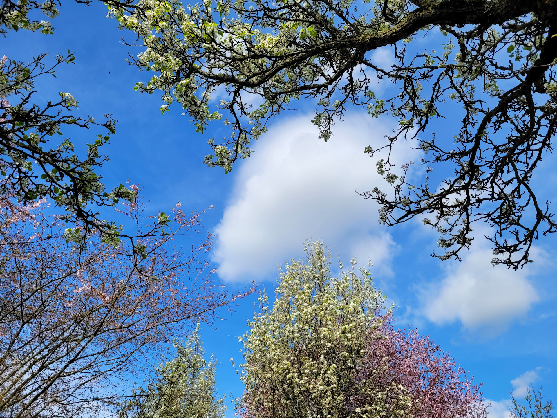 Het is lente! Nu krijgen we mooier weer, toch? - Weer.nl